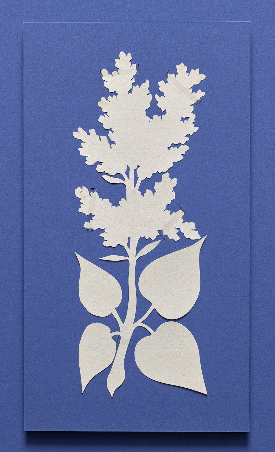 The Art of Storytelling Through Paper - Paper Cut Magick